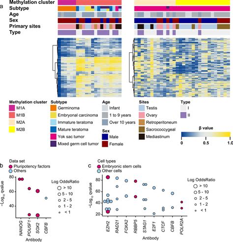 dna methylation analysis based on two step unsupervised consensus