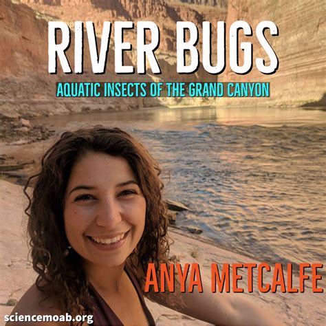 River Bugs Science Moab