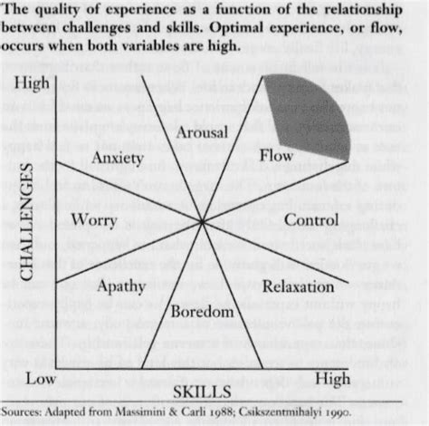 Finding The Flow State The Failure Institute