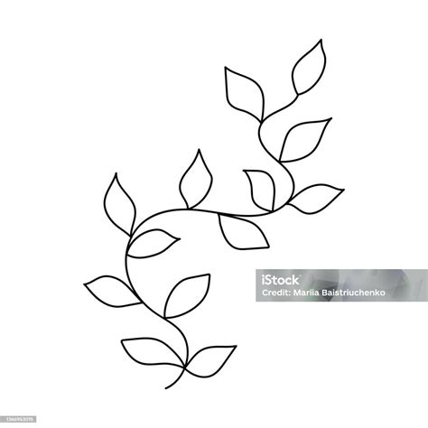 나뭇잎으로 분기합니다 꽃 기호 장식 책 텍스트 필드 허브 정원 식물의 선형 스케치 낙서 스타일의 손으로 그린 벡터 그림 우아한