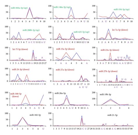 Various Isomir Profiles These Mirnas Are The Most Abundantly Up Download Scientific Diagram