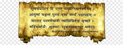 나무 글꼴 노력 텍스트 자연 나무 Png Pngwing