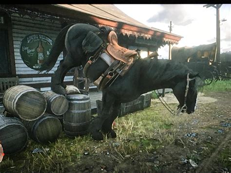 I Swear This Horse Is Like A Cockroach First A Wall And Now He Be