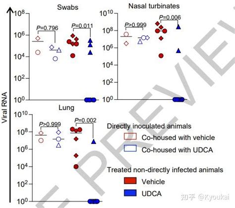 Nature 新研究发现熊去氧胆酸可关闭新冠感染受体，有望预防新冠，这可能带来多大的改变？ 知乎
