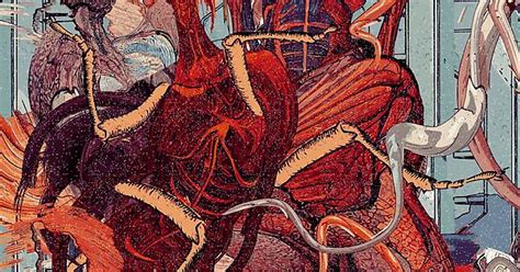 Endocrinological Analysis Of Gregor Samsa Album On Imgur