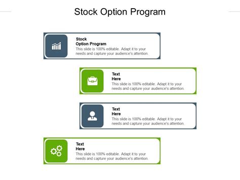 Stock Option Program Ppt Powerpoint Presentation Icon Example File Cpb Presentation Graphics