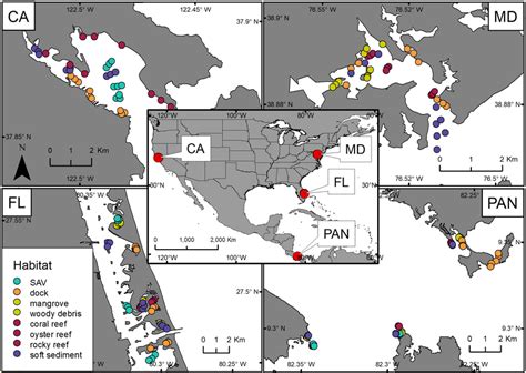 Sampling Locations Of Dual Frequency Identification Sonar Didson