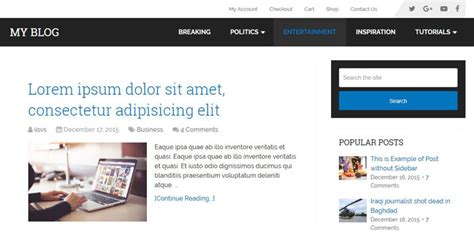 Schema WordPress Theme Review Why Is It Bloggers Favorite