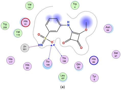 Squaramide Tethered Sulfonamides And Coumarins Synthesis Inhibition