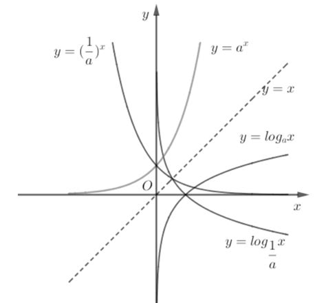 Hàm Input Trong Python Hướng Dẫn Chi Tiết Và Các ứng Dụng Thực Tế