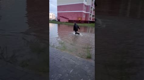 Купаемся в луже Youtube