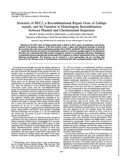 Pdf Structure Of Rec2 A Recombinational Repair Gene Of Ustilago Maydis And Its Function In