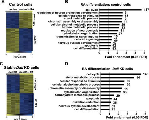 Figure Supplement 1 Transcriptomics A And C Heatmap Displaying Download Scientific Diagram