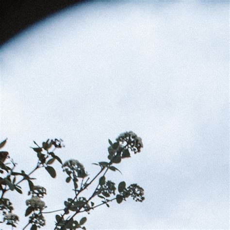 Took Some Fragile Inspired Shots R Nin