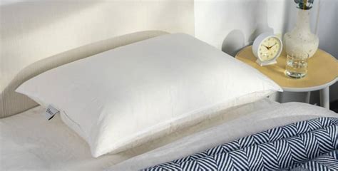 The Best Feather Pillows Of 2025 Sleep Foundation