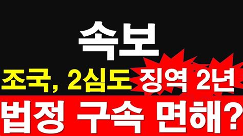 속보 조국 2심도 유죄 징역 2년 법정 구속 면해 레지스탕스tv 정광용tv Youtube