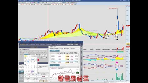 황금화살표와 검색기 Youtube