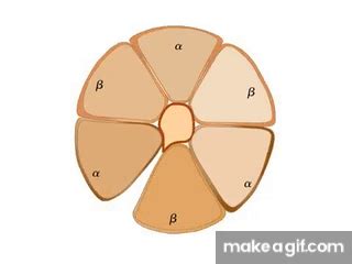 ATP Synthase On Make A GIF