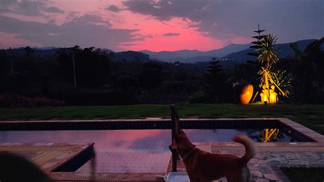 เธอสวย ทุกนาทีที่เคยสั สวนดอกเก็กฮวยอินทรีย์ บ้านลุงเคน Facebook