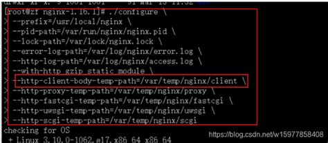 Nginx在linux下的安装and启动和访问（详细解读）nginx访问linux服务器 Csdn博客