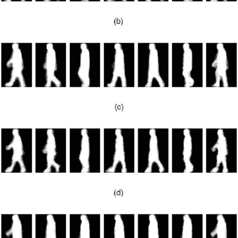 The Gait Recognition Approach Based On Gait Dynamics Normalization The