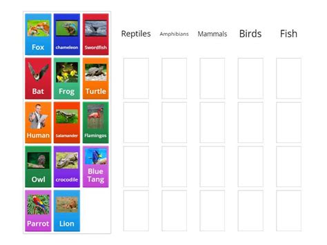 Animal Classification Group Sort