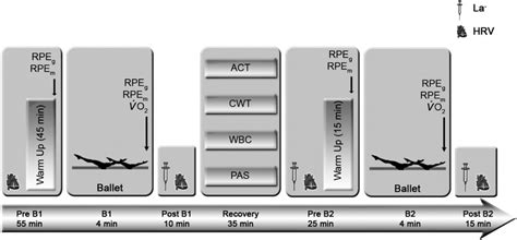 schema of the testing protocol followed during each session with the