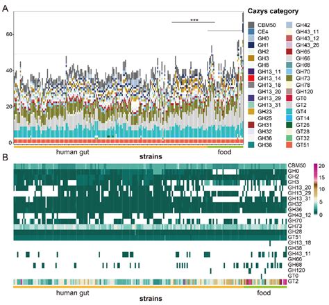 Genes Encoding Carbohydrate−active Enzymes Cazy In The Genome Of L