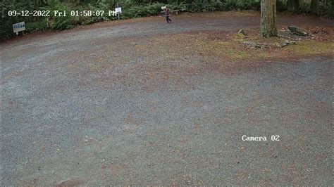 Sooke Rcmp Assumes Investigation Into Missing Person Melissa Mcdevitt