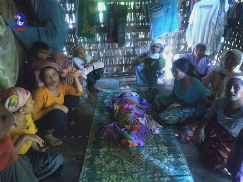 မင်းပြားမာ ၁ နှစ်ခွဲအရွယ်အချေတယောက် ရီမြုပ်သီဆုံး Arakan Princess Media