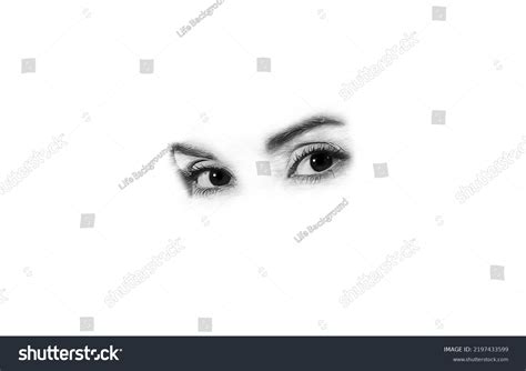 Beautiful Sexy Drawn Female Eyes Isolated Stock Illustration Shutterstock