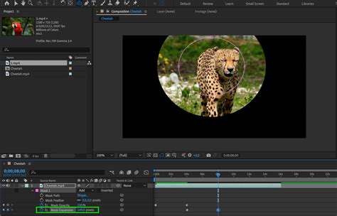 How To Use Opacity In After Effects