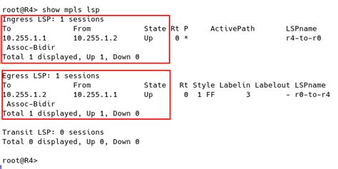 Multi Protocol Label Switching Transport Profile MPLS TP