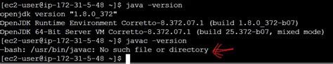 How To Install Java 81117 On Amazon Linux 2023 Instance Cloudkatha