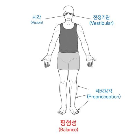 Propioception 고유 수용 감각 네이버 블로그