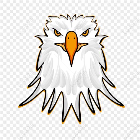 정면 일러스트 독수리 머리 클립 아트 날개 칠월 Png 일러스트 무료 다운로드 Lovepik