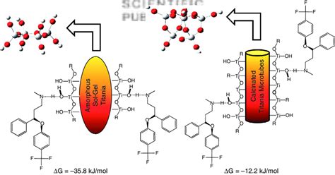 The Sketch Of Possible Structures Of Geometrically Optimized Download Scientific Diagram