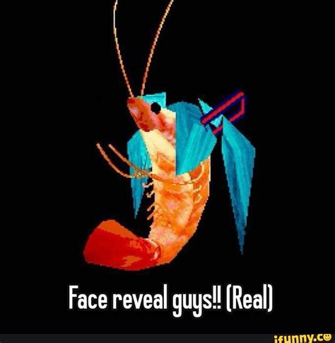 Face Reveal Guys Real Ifunny