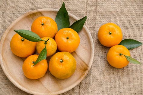 What Are Satsuma Mandarins