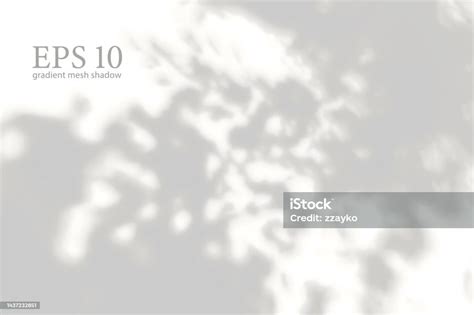 투명 한 자연 식물 그림자입니다 조명 효과 오버레이 메쉬 그리드 나뭇 가지 식물 단풍 및 나뭇잎의 그림자 프리젠 테이션 당신의 디자인 카드 포스터 사진 현실적인 벡터 잎에