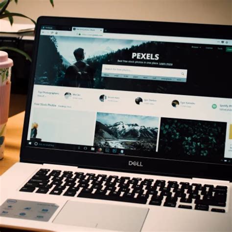 Dynamic Website Development At ₹ 30000month In Sriganganagar Id