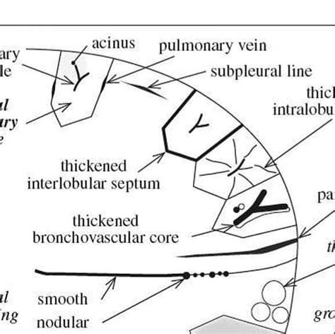 Bi Rads C Rads Gi Rads Li Rads Lu Rads Ti Rads Pi Rads The Long And Winding Road Of