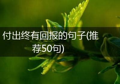 夸公司前景的句子 必备20句