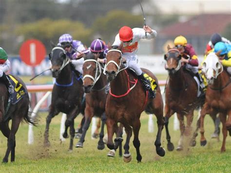 No Tears This Time For Chris Waller As Magical Number Made To Order
