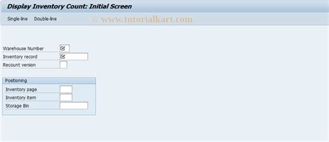 LI SAP Tcode Display Inventory Count