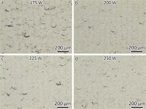 Optical Micrographs Showing The Microstructures Of 316l 1 0ti Download Scientific Diagram