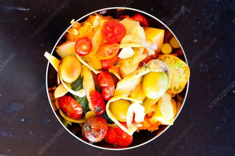 Compost Heap Stock Image C033 0898 Science Photo Library