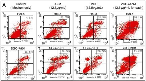Apoptosis Determined By Annexin V Binding Assay And Flow Cytometry Download Scientific Diagram