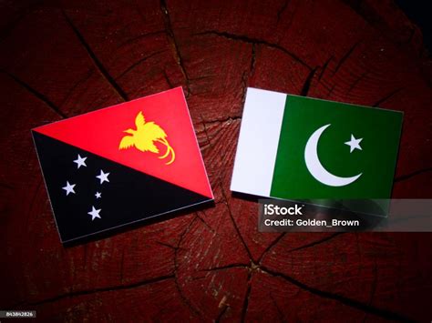 파푸아 뉴 기니 고립 된 나무 등 걸에 파키스탄 국기 깃발 0명에 대한 스톡 사진 및 기타 이미지 0명 Friendly Match 개념 Istock