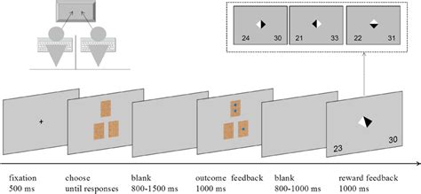 Experimental Procedure Two Participants Of The Same Sex Compete In A Download Scientific